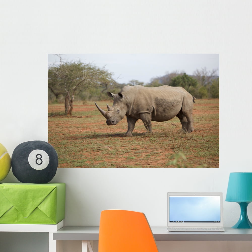 Rhino Wall Mural by Wallmonkeys Peel and Stick Graphic (36 in W x 24 in ...
