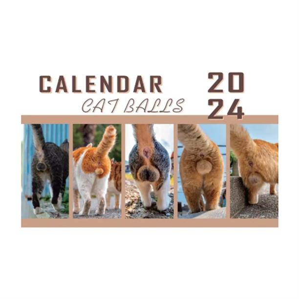Cats Butt Calendar 2024 Bring and Personality to Your Days - Walmart.ca