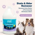 Urine-Off, professional enzyme odor eliminator and pet stain remover ...