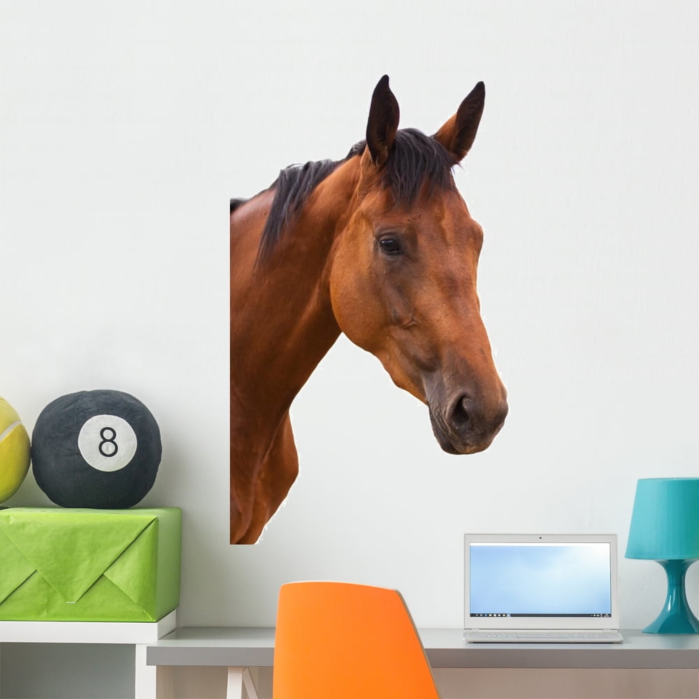 Horse Head Wall Decal by Wallmonkeys Peel and Stick Graphic (36 in H x ...