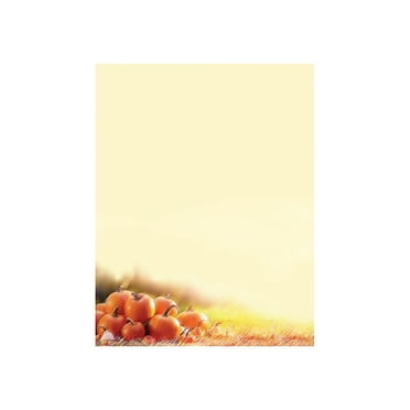 Desert Sunset Saguaro Cactus Stationery - Desert Letterhead -8.5 x 11 ...