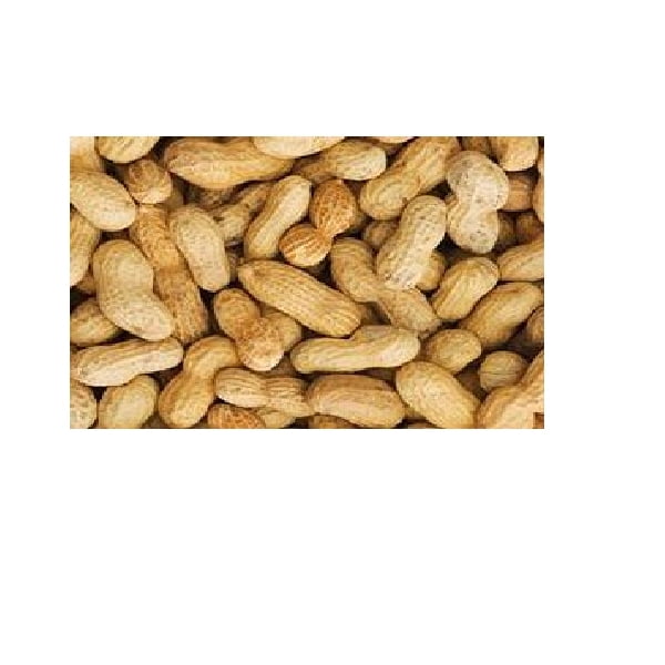 1 PACKS :Peanut In The Shell, Salted, 25 Pound - Walmart.com - Walmart.com