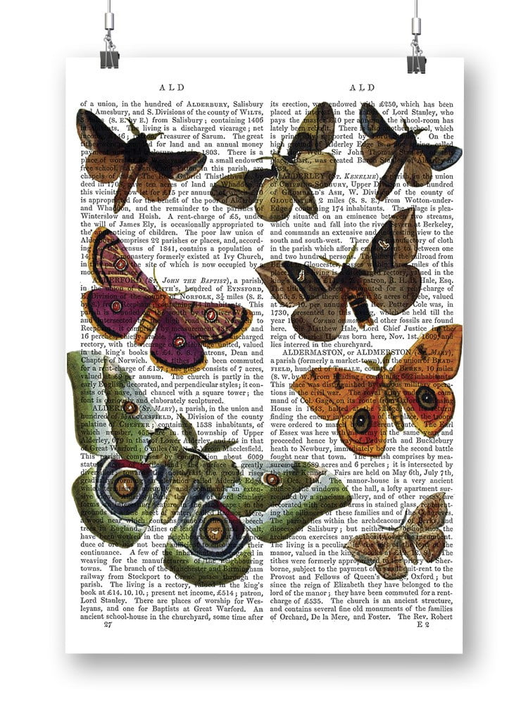 Paper Moths Poster - Fab Funky Designs, - Walmart.com