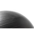 Reebok 75cm PVC Exercise Ball with Hand Pump, Black, for Yoga, Pilates ...