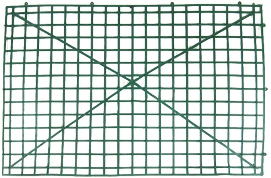 WEIS WEIS Plant Wall Frames, 15pcs Air Plant Holder | Plastic Frame for ...