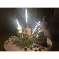 Nightlife Supplies USA 8pc Bottle Sparklers, Cake Sparklers, 45-Second ...