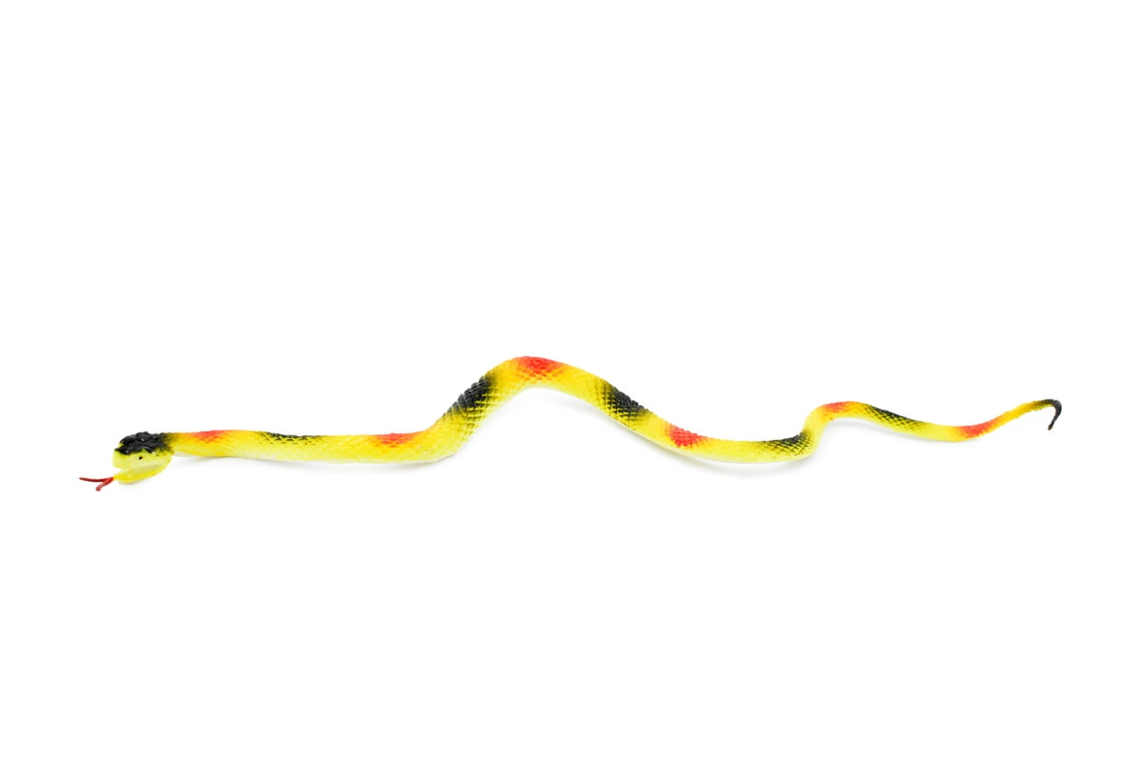Snake, Coral snake, Rubber Reptile, Educational, Realistic Hand Painted ...