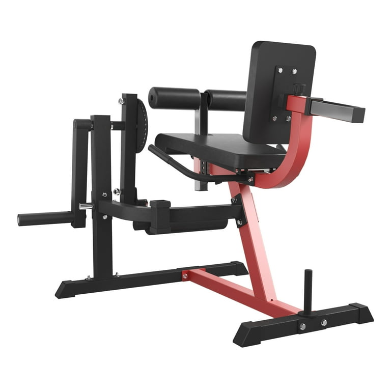 Extension Of Thigh