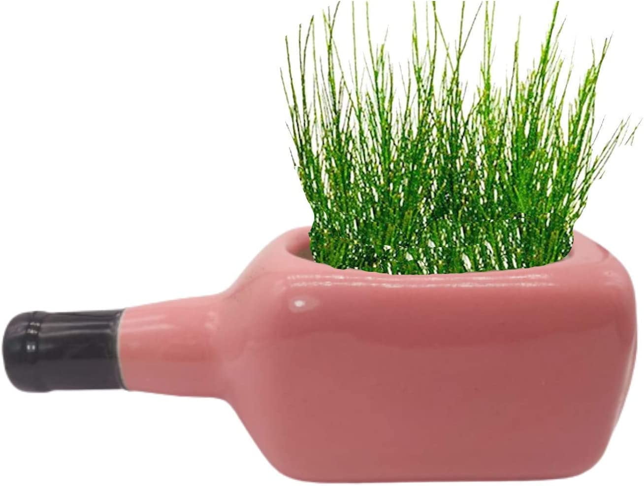 India Meets India Bottle Shaped Ceramic Planter Flower Pot Indoor ...