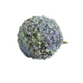 Hydrangeas Jumbo 12 Stems of Green and Hulk Farm Direct Fresh Cut ...