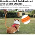 2-in-1 Seatbelt Leash & Walking Lead - Heavy Duty 70CM Nylon Rope Leash ...