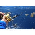 PENN International VI Casting Fishing Rod - Walmart.com