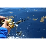 PENN International VI Casting Fishing Rod - Walmart.com