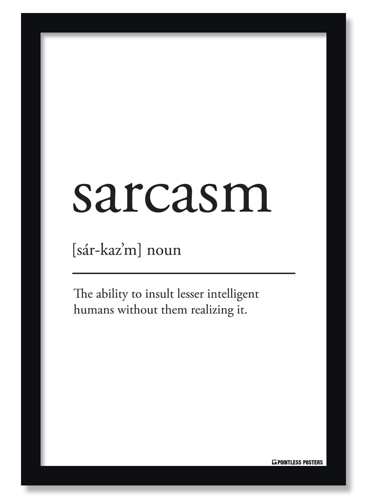 Sarcasm Definition Poster by Pointless Posters - Walmart.com