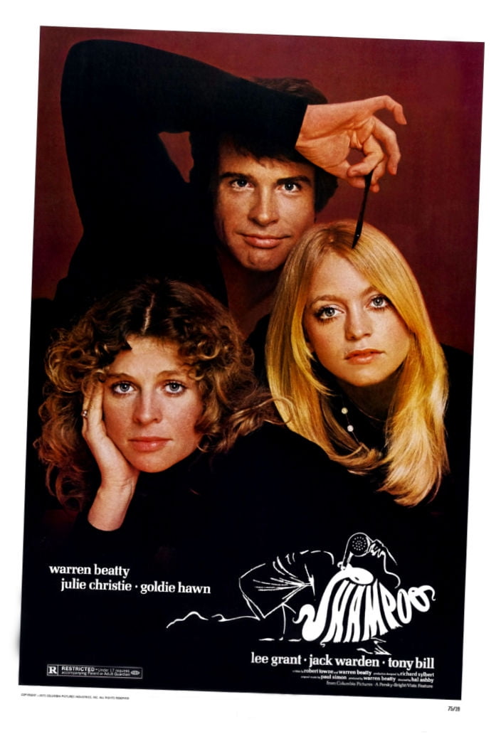 Shampoo Movie Poster 24in x36in Art Poster 24x36 Unframed, Age: Adults ...