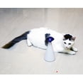 Iconic Pet Kitty Chase Interactive Laser Cat Toy - Walmart.com