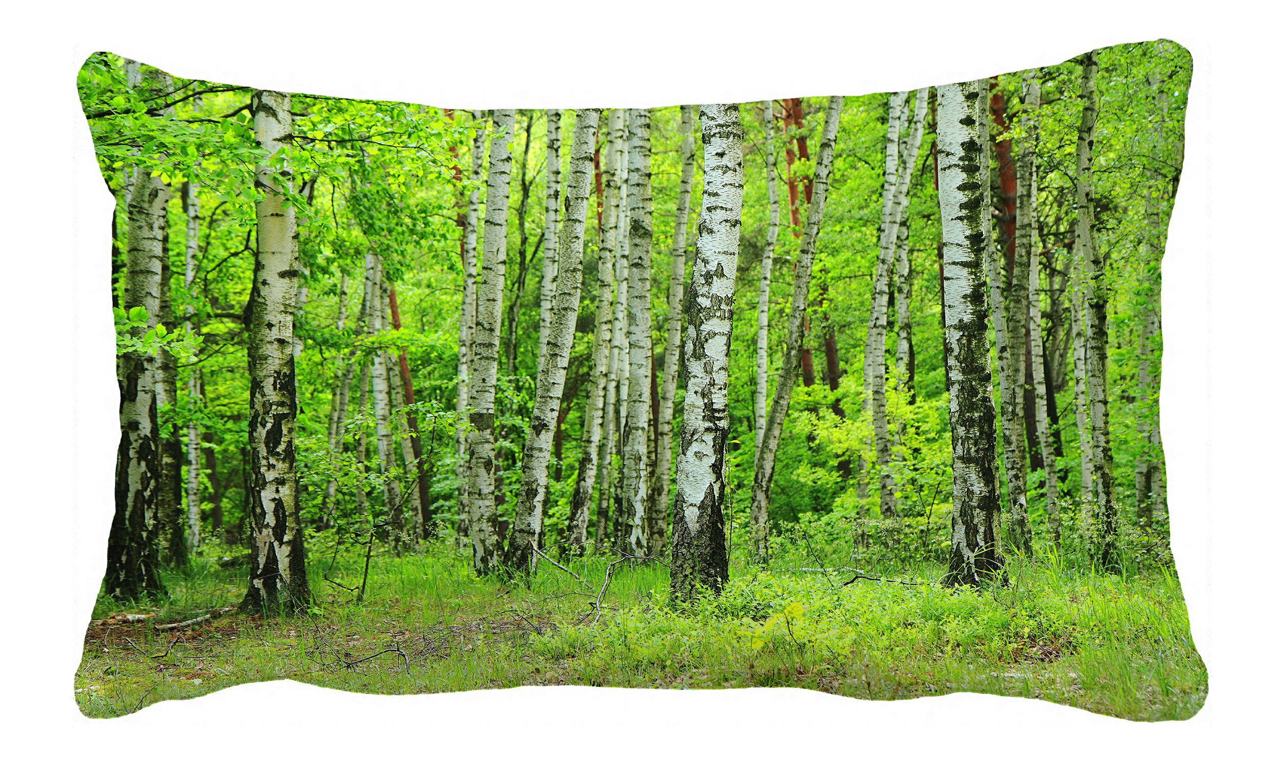 ABPHQTO Spring Green Czech Forest Pillow Case Pillow Cover Pillow ...