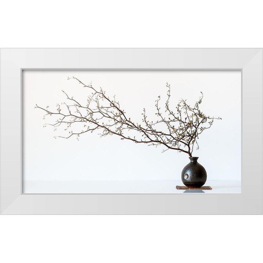 Prbimages 14x10 White Modern Wood Framed Museum Art Print Titled - Vase ...