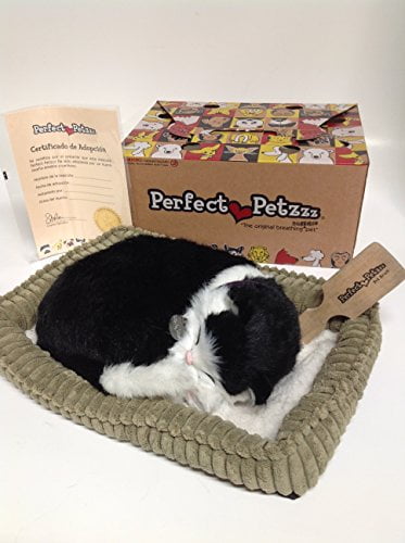 Perfect Petzzz | Walmart Canada