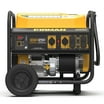 Firman H08051 10,000/8,000 Watt Dual Fuel Electric Start Generator ...