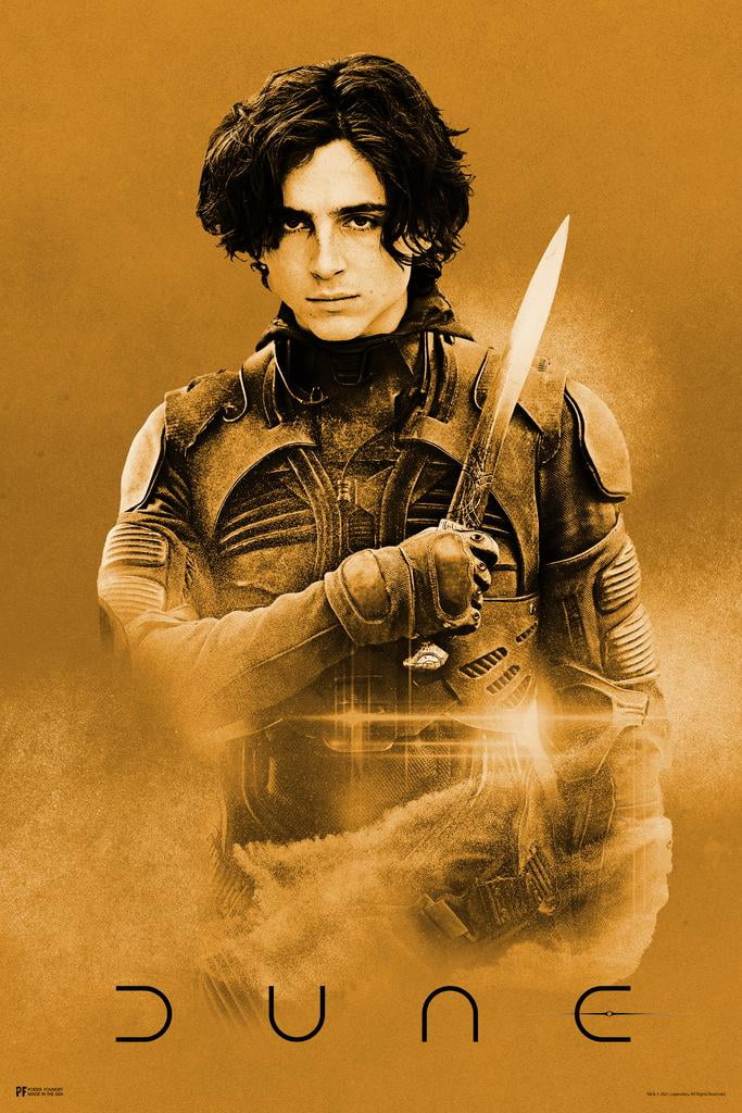 Dune Paul Atreides With Knife Savior Timothee Chalamet Graphic Official ...