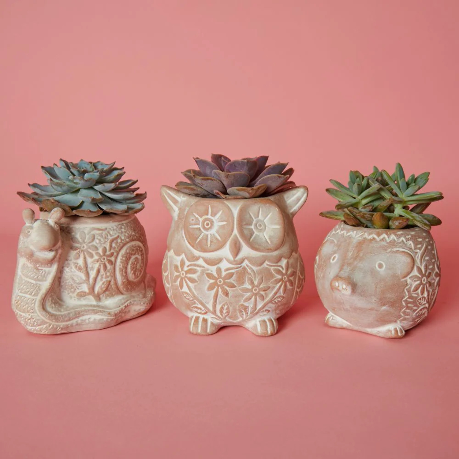 Small Floral Terracotta Owl Hedgehog Snail Pot Set - Walmart.com