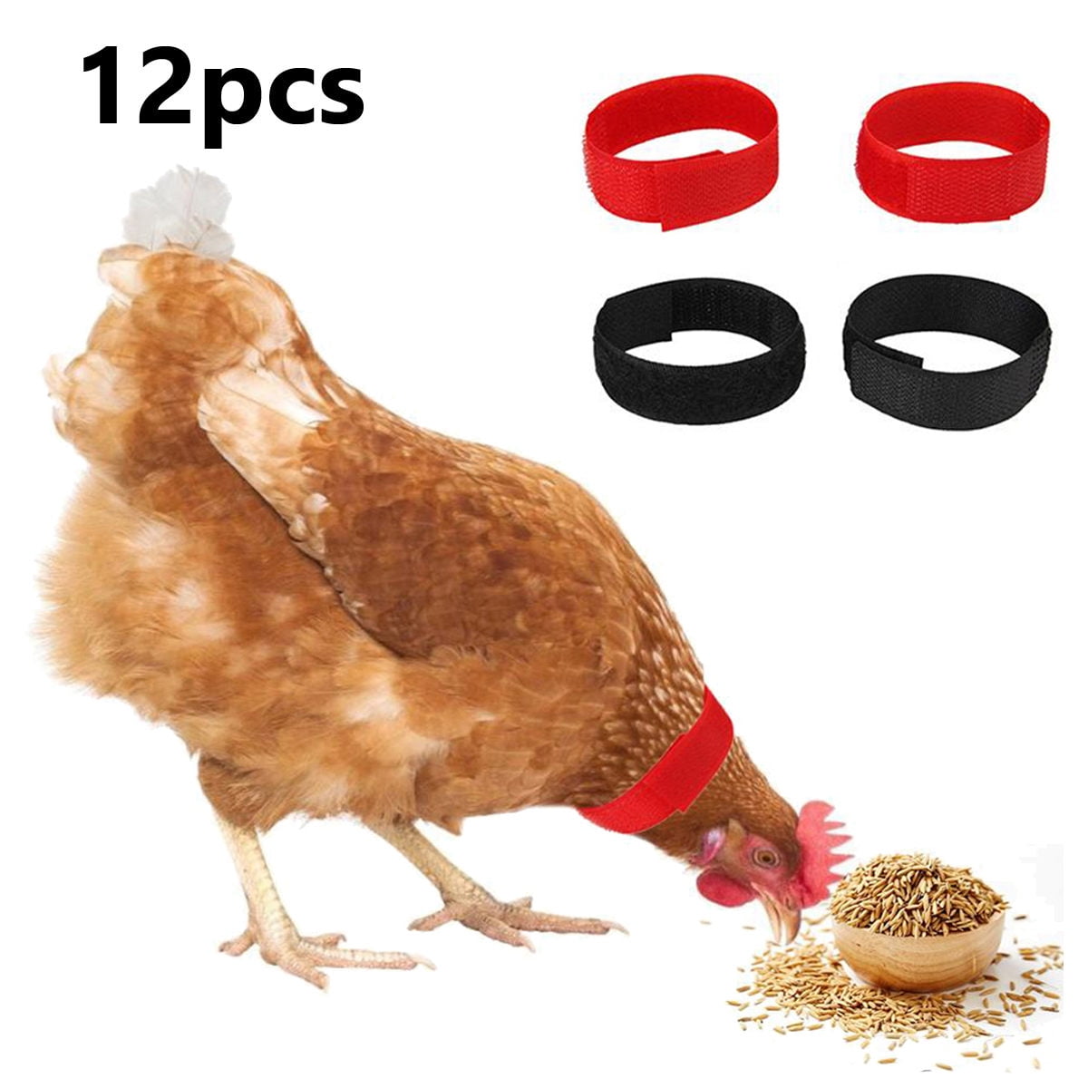 Meidiya 12 Pack No Crow Rooster Collar,Chicken Collar Anti-Hook Noise ...
