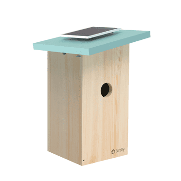 Birdfy Smart Bird Houses for Outside Solar Powered, 1080P HD Live View ...