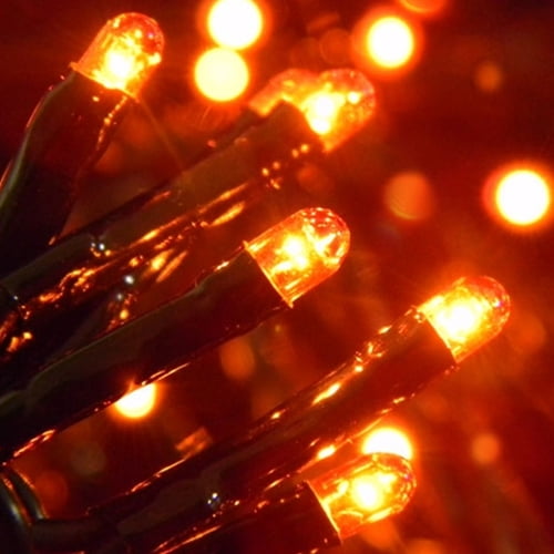 Halloween Electric Plug-In String Lights String Lights Teeny Rice Bulbs ...