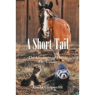 Shoebox Funeral : Stories from Wolf Creek - Walmart.com