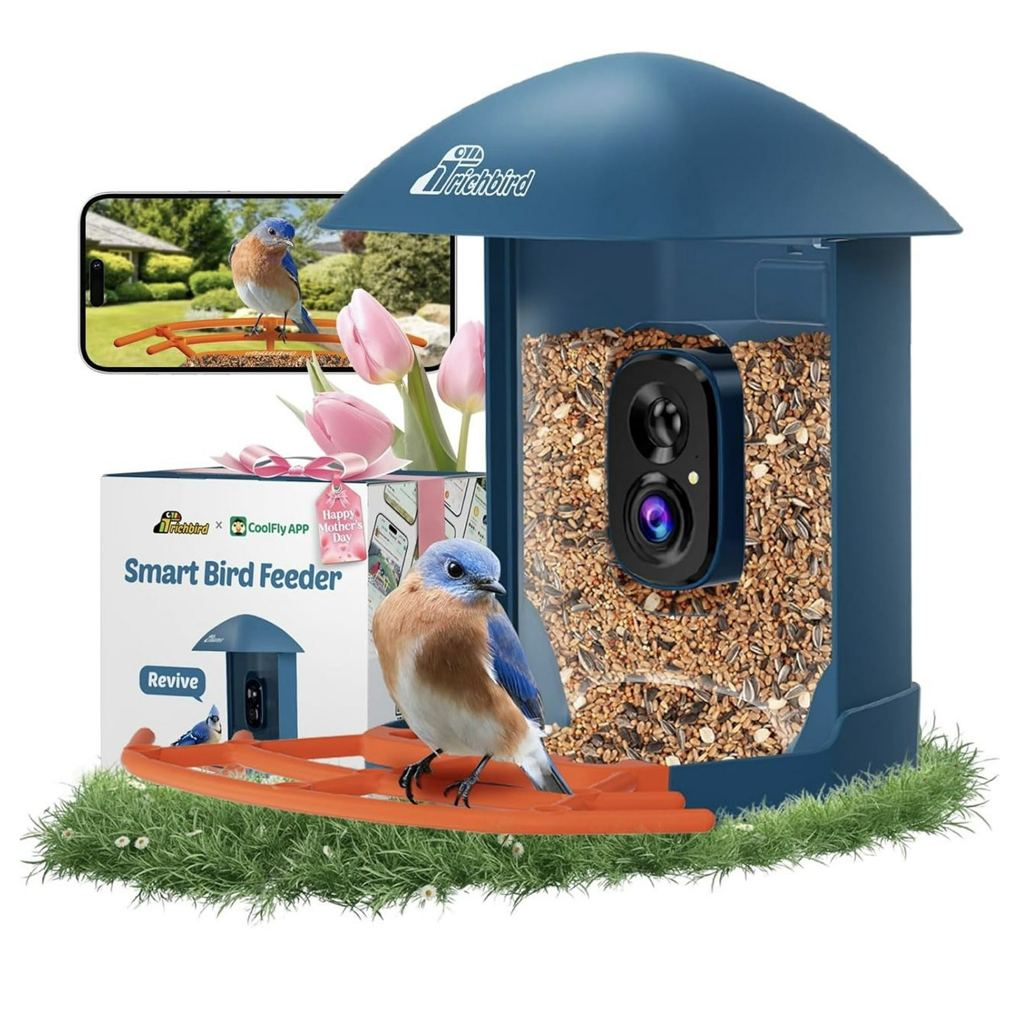 Click here for Richbird Smart Bird Feeder Camera  Birdwatching Ca... prices