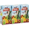 Petit Mango Nectar Fruit Juice, Vitamin C, No Preservatives, 6.8 fl oz, 3 Ct - Walmart.com