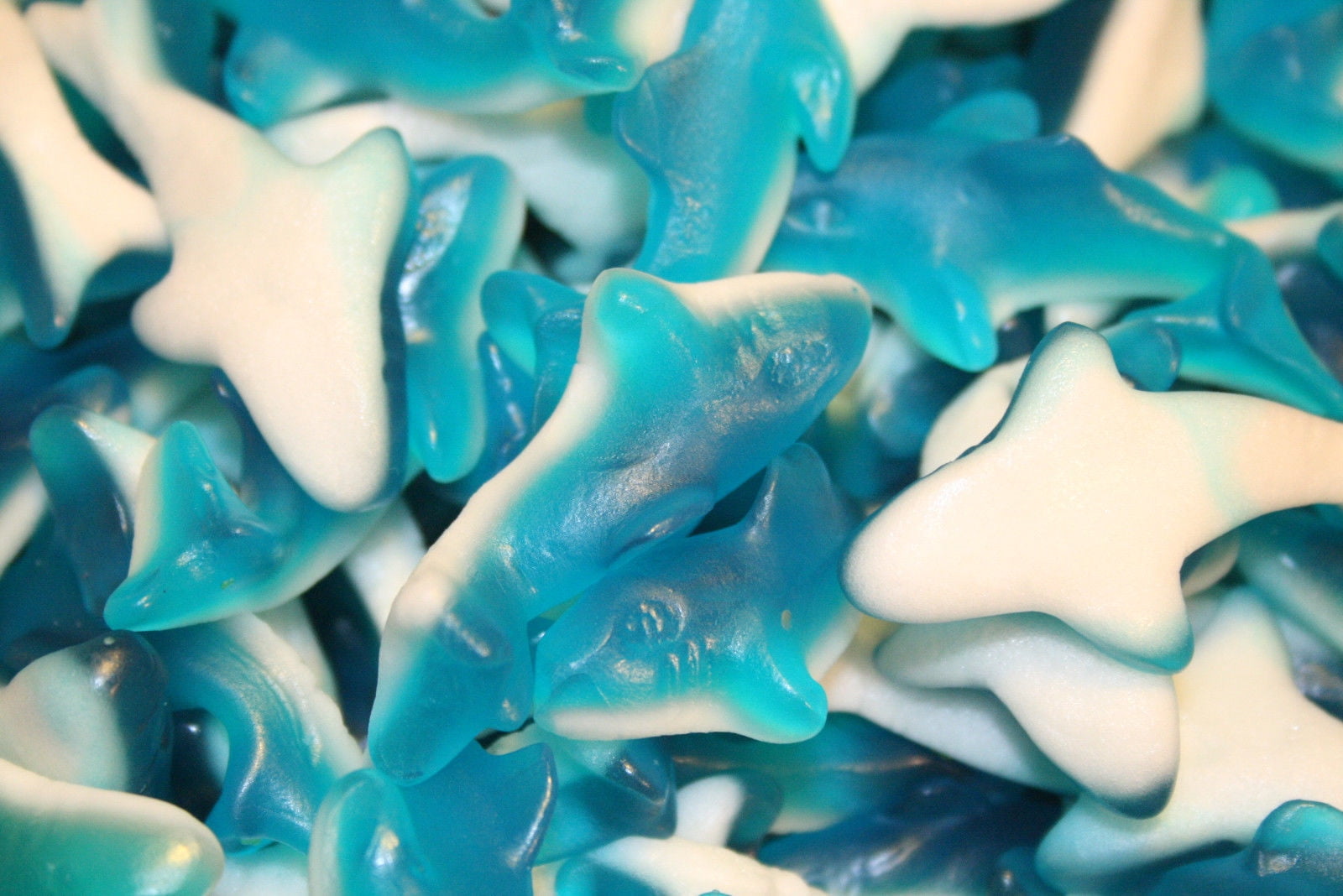 BAYSIDE CANDY GUMMY BLUE SHARKS, 1LB - Walmart.com