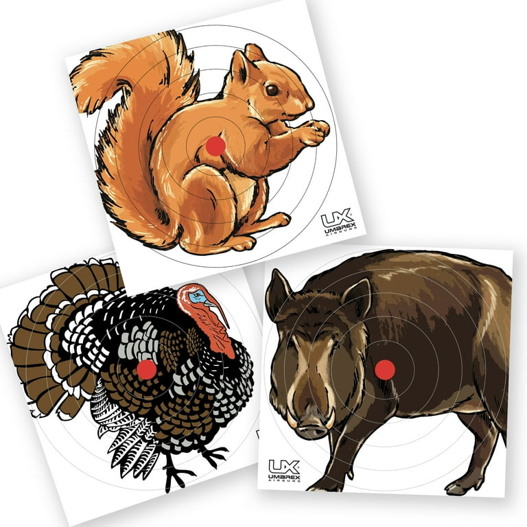 Paper Squirrel Targets Vintage Squirrel Target No. 10 By J C Higgins