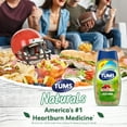 Tums Naturals Ultra Strength Chewable Antacid Tablets for Heartburn ...