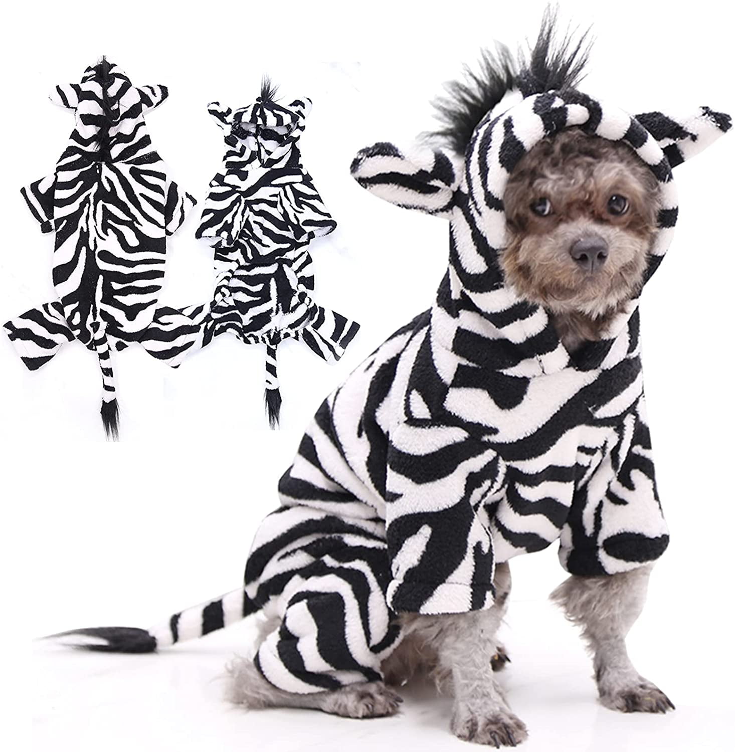 Zebra Dog