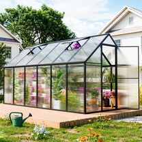 July's Song Aluminum Frame Greenhouse, 6'x12', with Vent Window ...