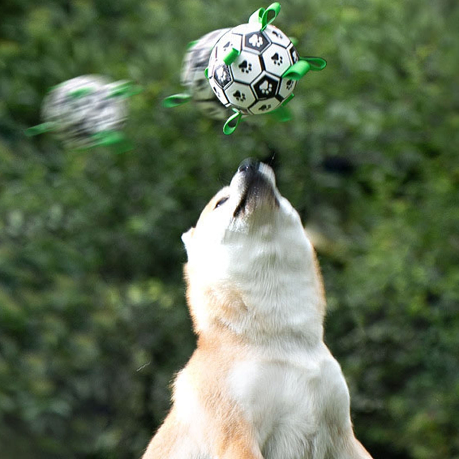 Pelota interactiva para perros con correas, juguete de pelota de fútbol ...