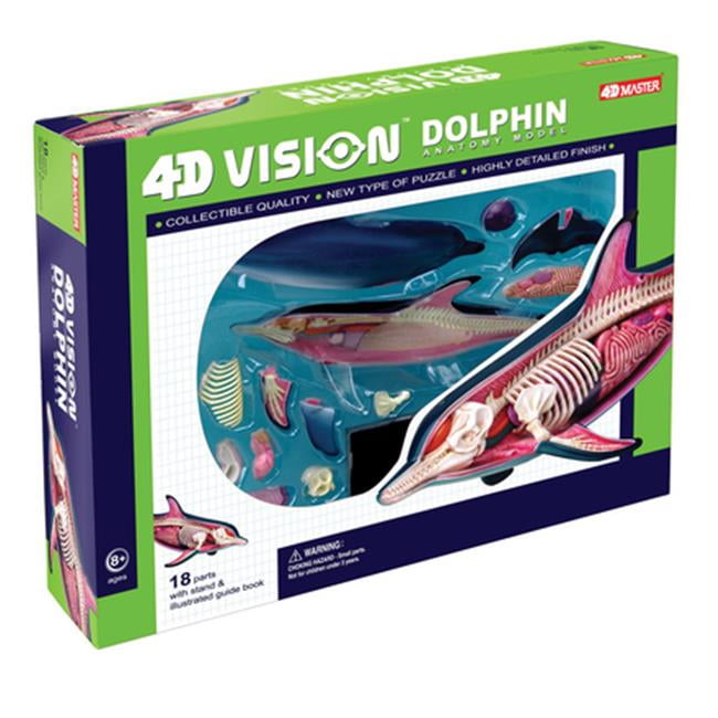 4D Vision Dolphin Anatomy Model, by 4D Master - Walmart.com