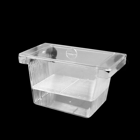 TB&W Transparent Aquarium Breeder Hatchery Box Fish Tank Isolation Box ...
