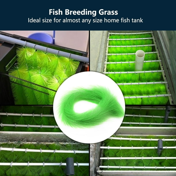 Decorative Grassfor Fish Tank,Decorative Fish Breeding Grass Fish ...