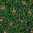 Boxwood Lighted Topiary Ball 15" 2 Pack - Boxwood - Walmart.com