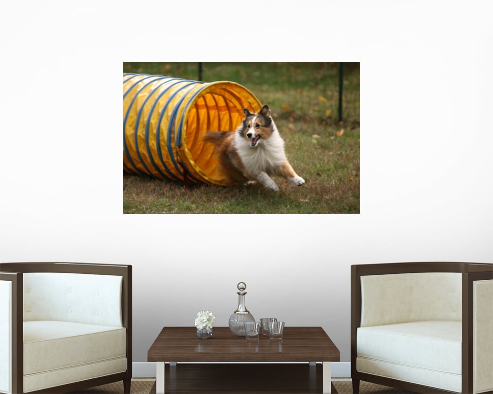 Agility Dog Exiting Tunnel Wall Decal WM282820 by Wallmonkeys (24 in W ...