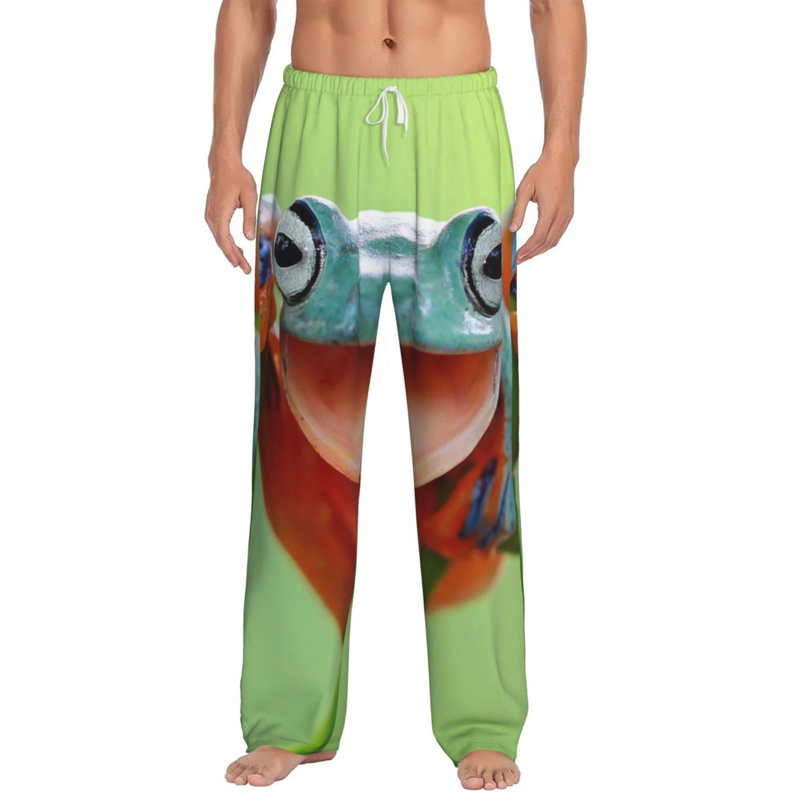 Balery Flying Frog On Branch print Men's Pajama Pants,Ultra Lightweight ...