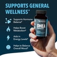 Havasu DHEA 50mg Capsules | DHEA Supplement for Men & Women | Boost ...