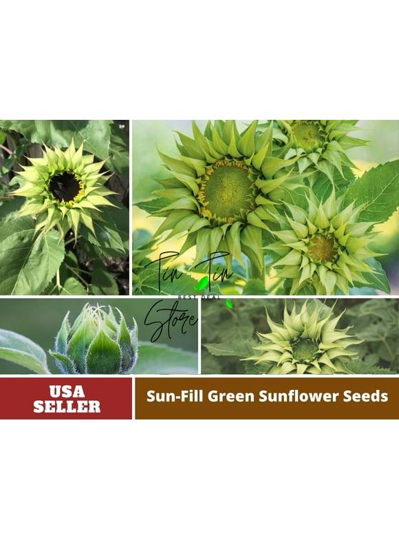 Sunflower Flower Seeds in Seed Gardening - Walmart.com