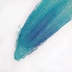 Pediculus Humanus Capitis, W.M. Microscope Slide - Walmart.com