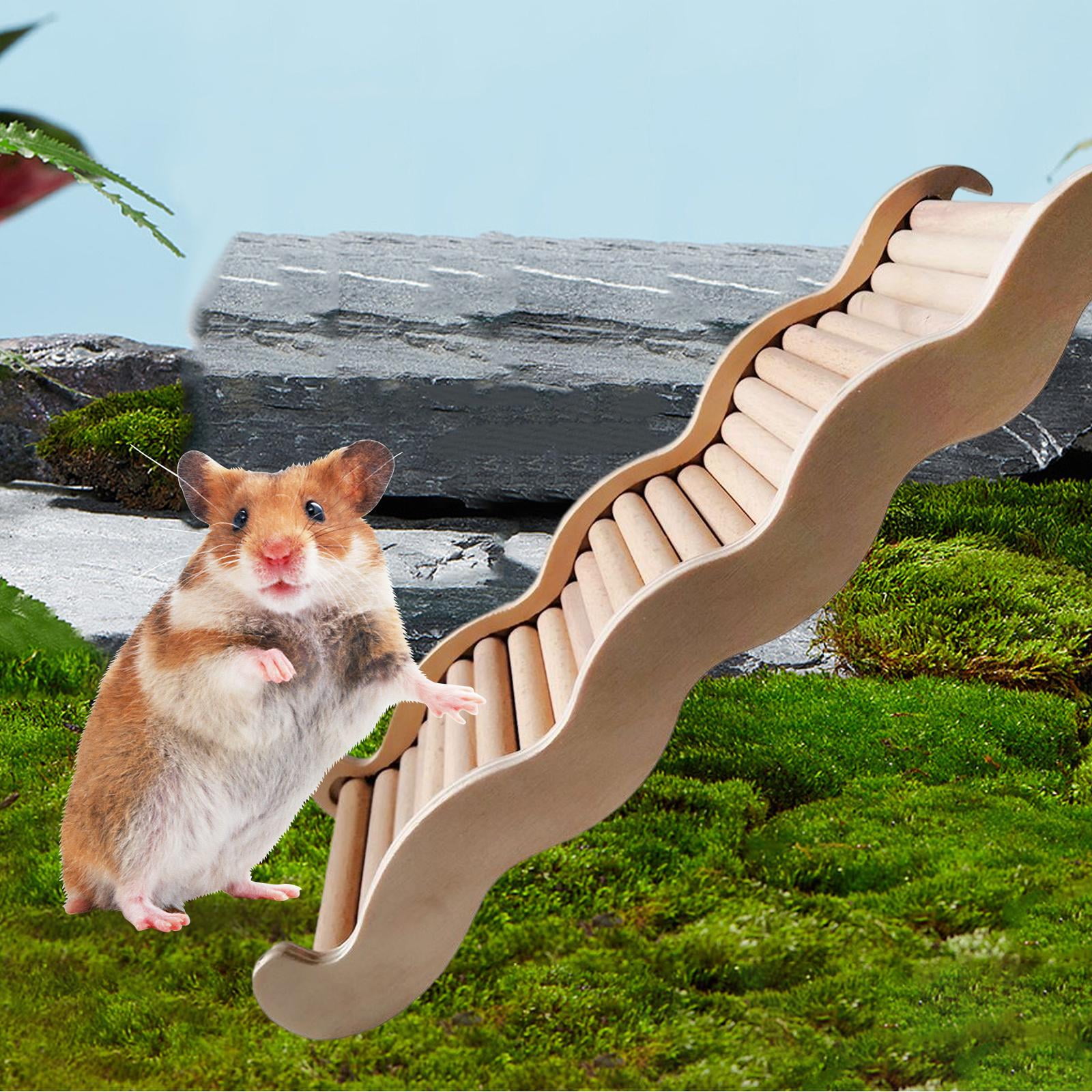 Click here for Beloving Hamster Stairs Wood Cage Accessories Exer... prices