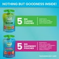 GoGo squeeZ BIG Applesauce and Fruit Puree with Vanilla Variety Pack ...