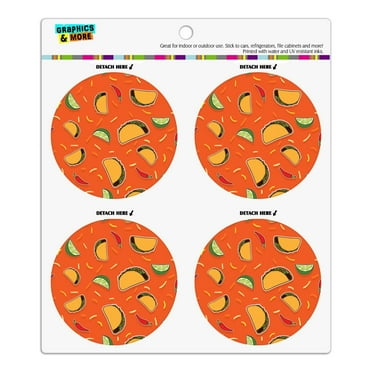 Anatomical chart: female urinary incontinence chart, laminated ...